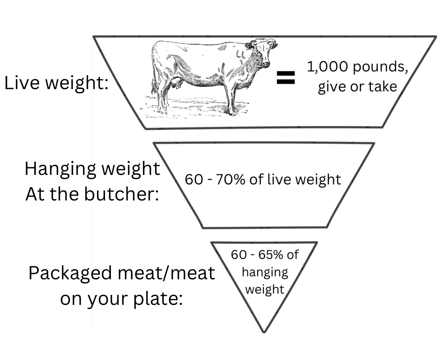 Customization: Why We Use Hanging Weight